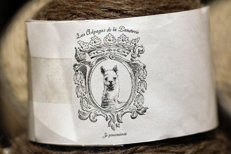 François-Xavier, fileur de laine - Iris et Ulysse